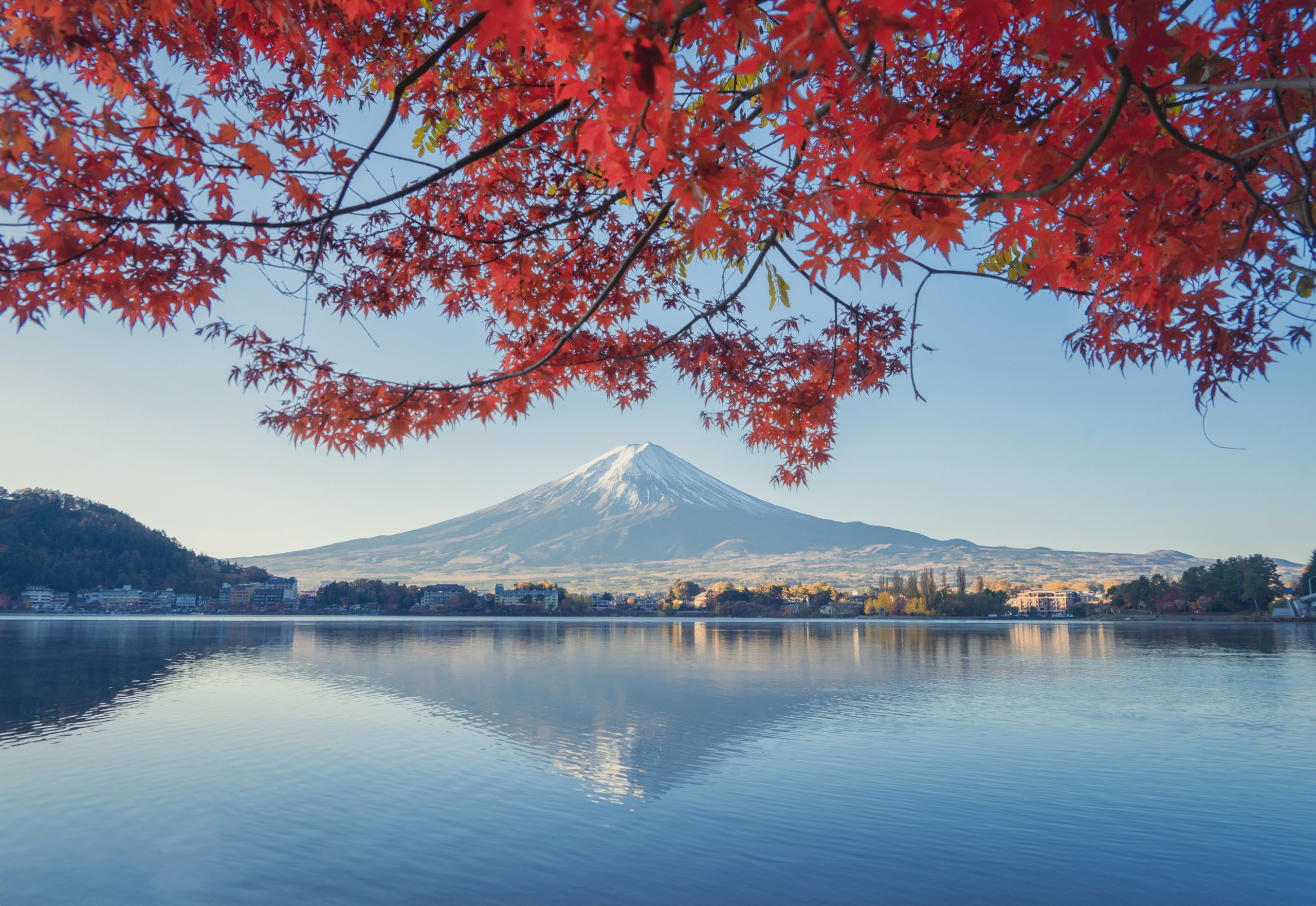 Japanese for Beginners | Macquarie Community College