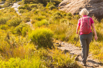 Get outdoors with our Bushwalking classes - Macquarie Community College