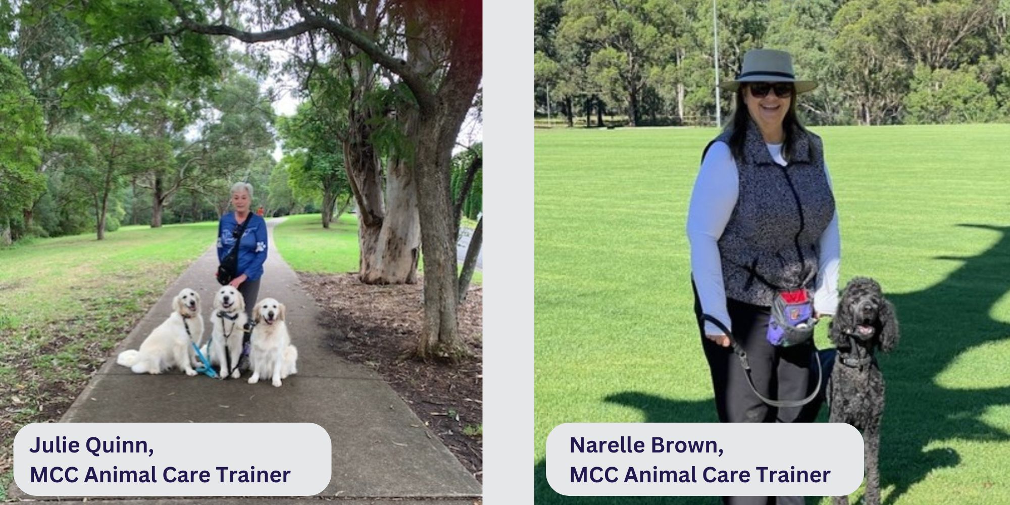 Dog Training Classes - Meet the Trainers