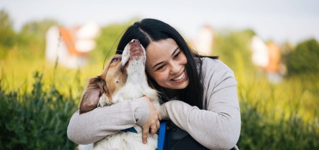 Dog Care I Pet Care Short Courses Sydney | MCC